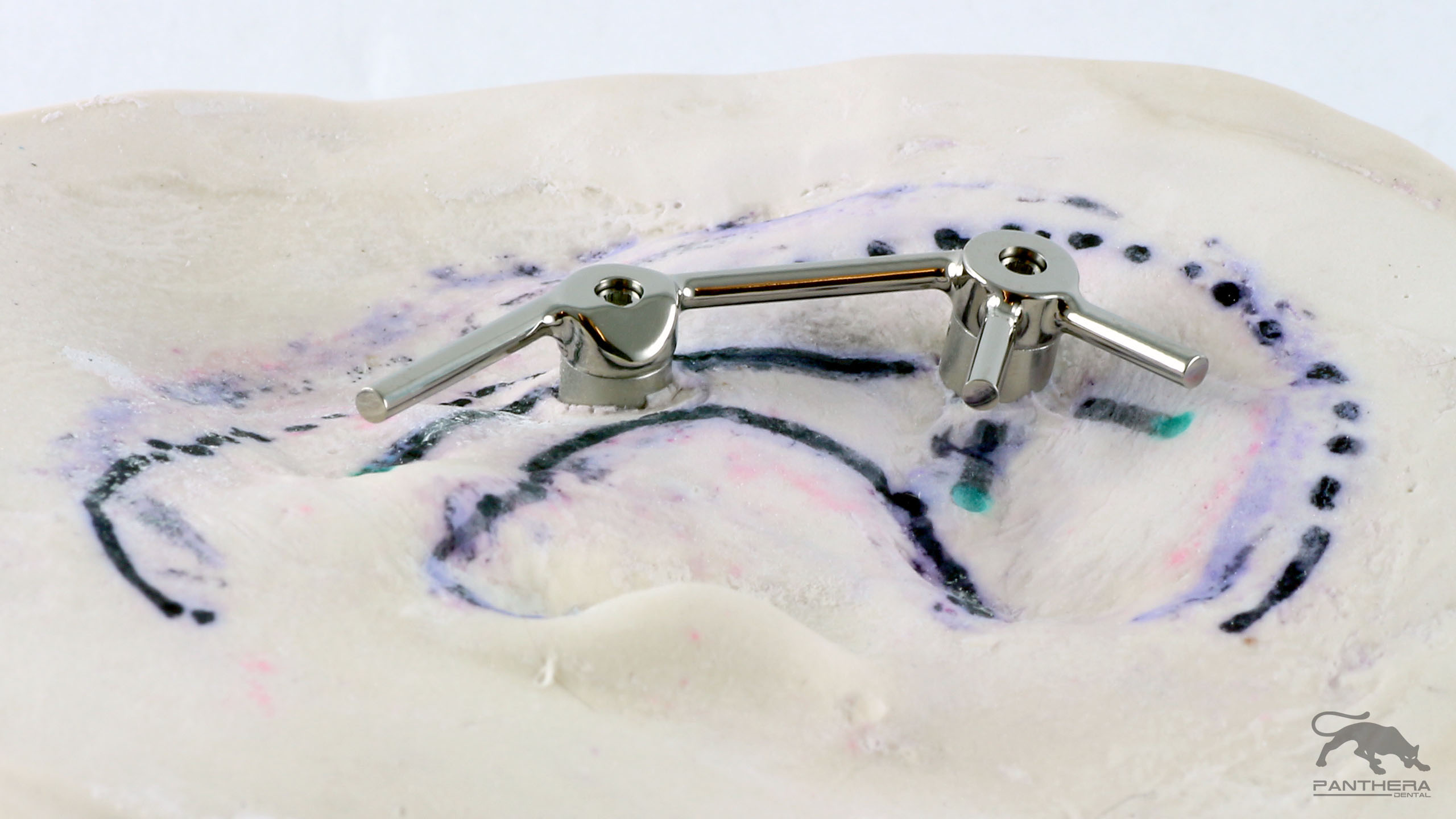 Ears cases - Panthera Implant