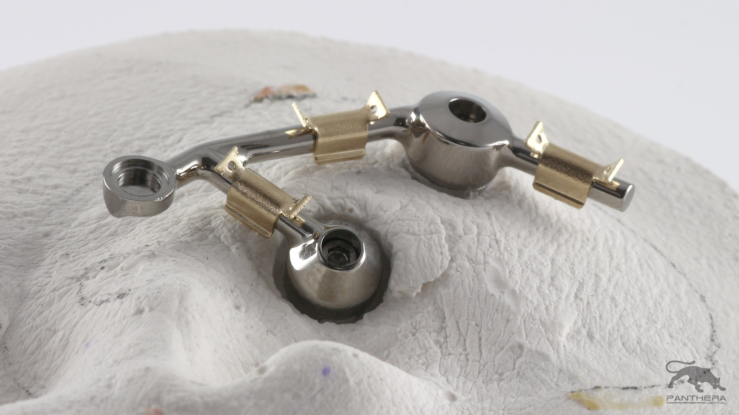 Ears cases - Panthera Implant